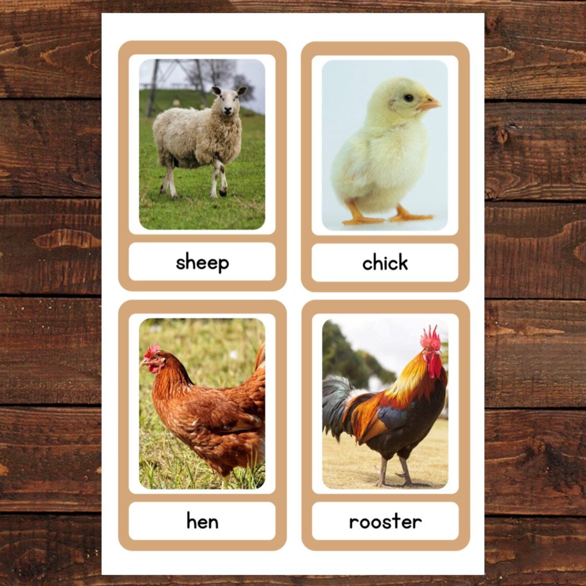 Farm Animal Flashcards Kindergarten Preschool Printable - Etsy
