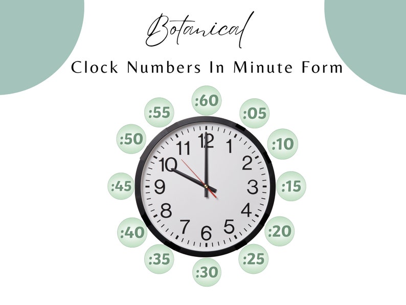 Botanical Neutral Clock Numbers - Etsy
