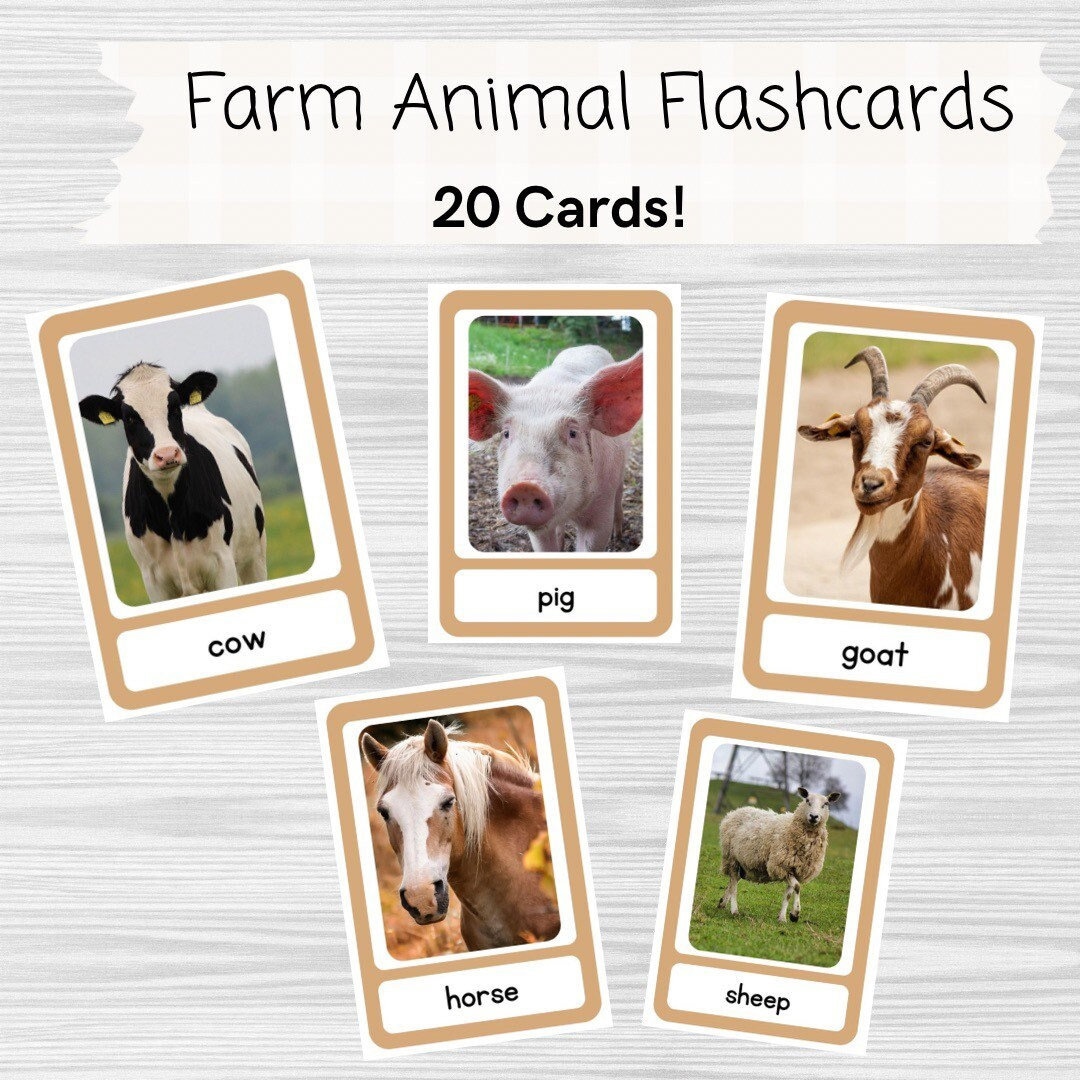 Farm Animal Flashcards Kindergarten Preschool Printable - Etsy