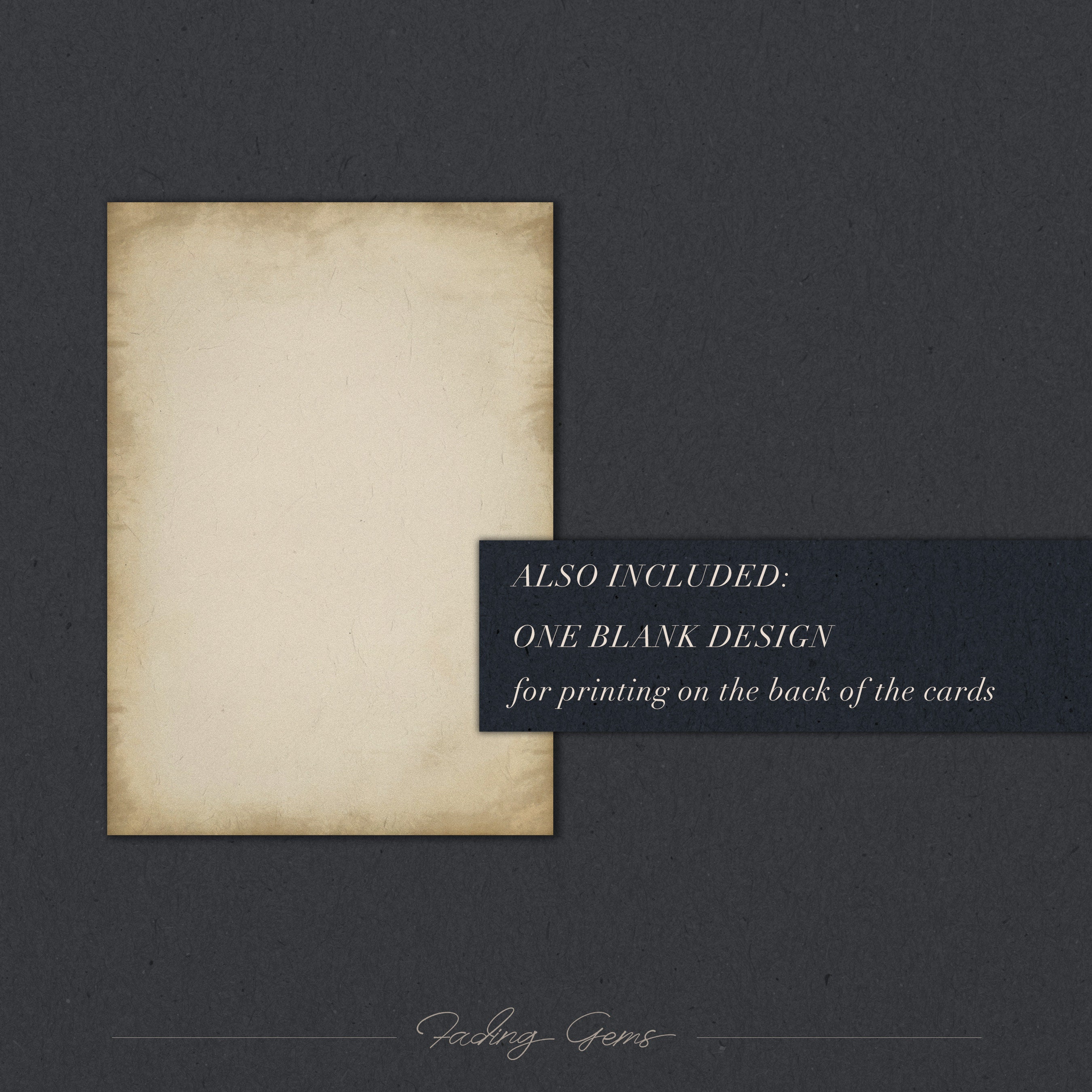 Rococo Frames II, Decorative Cartouche With Ornate Borders, Pastels ...