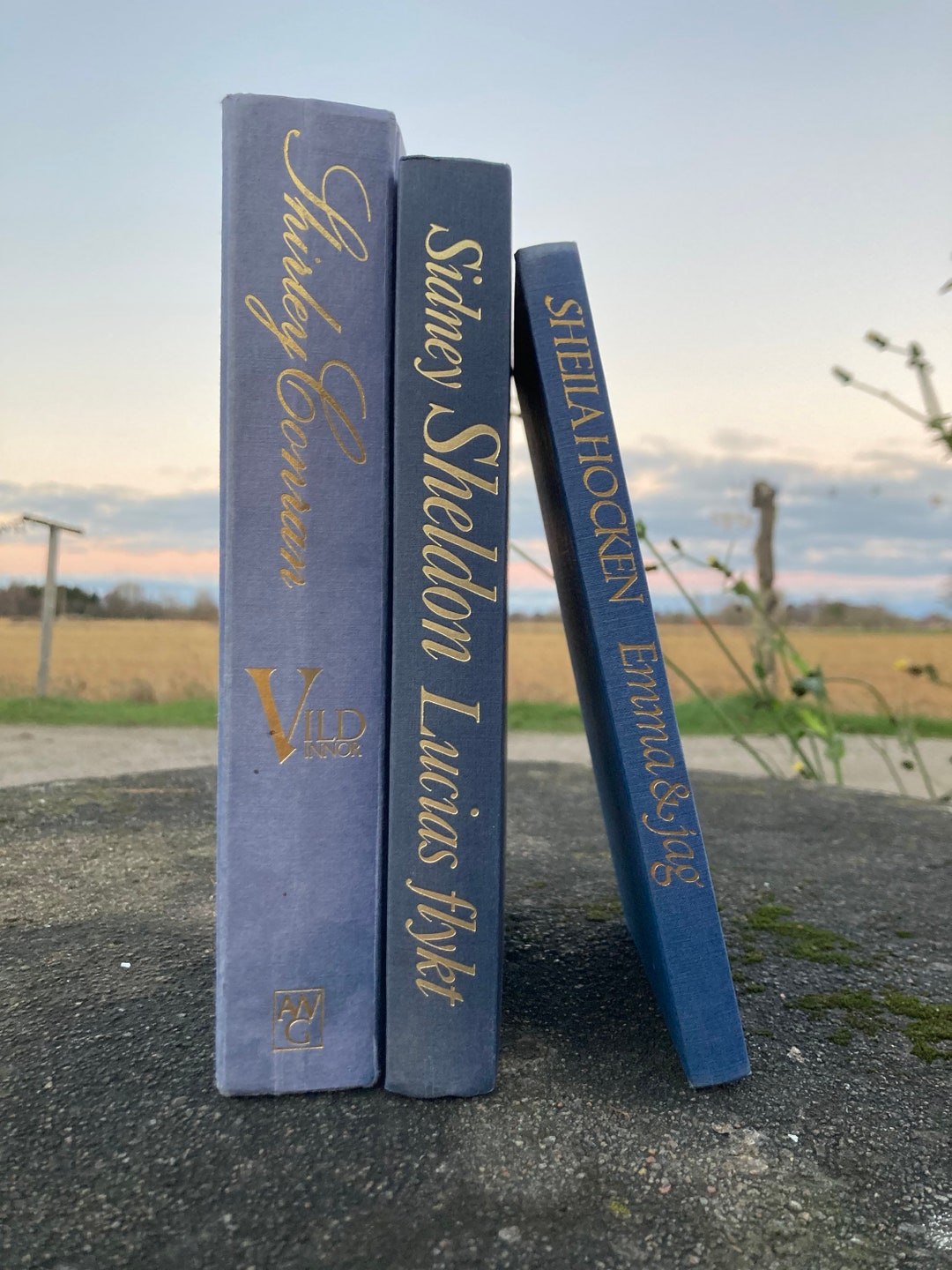 Navy Blue Book Stack | Swedish Decorative Books | Real Hardback - Etsy
