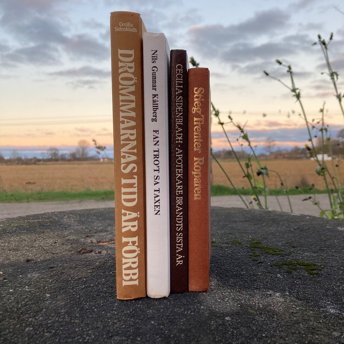 Brown Book Stack | Swedish Decorative Books | Real Hardback - Etsy