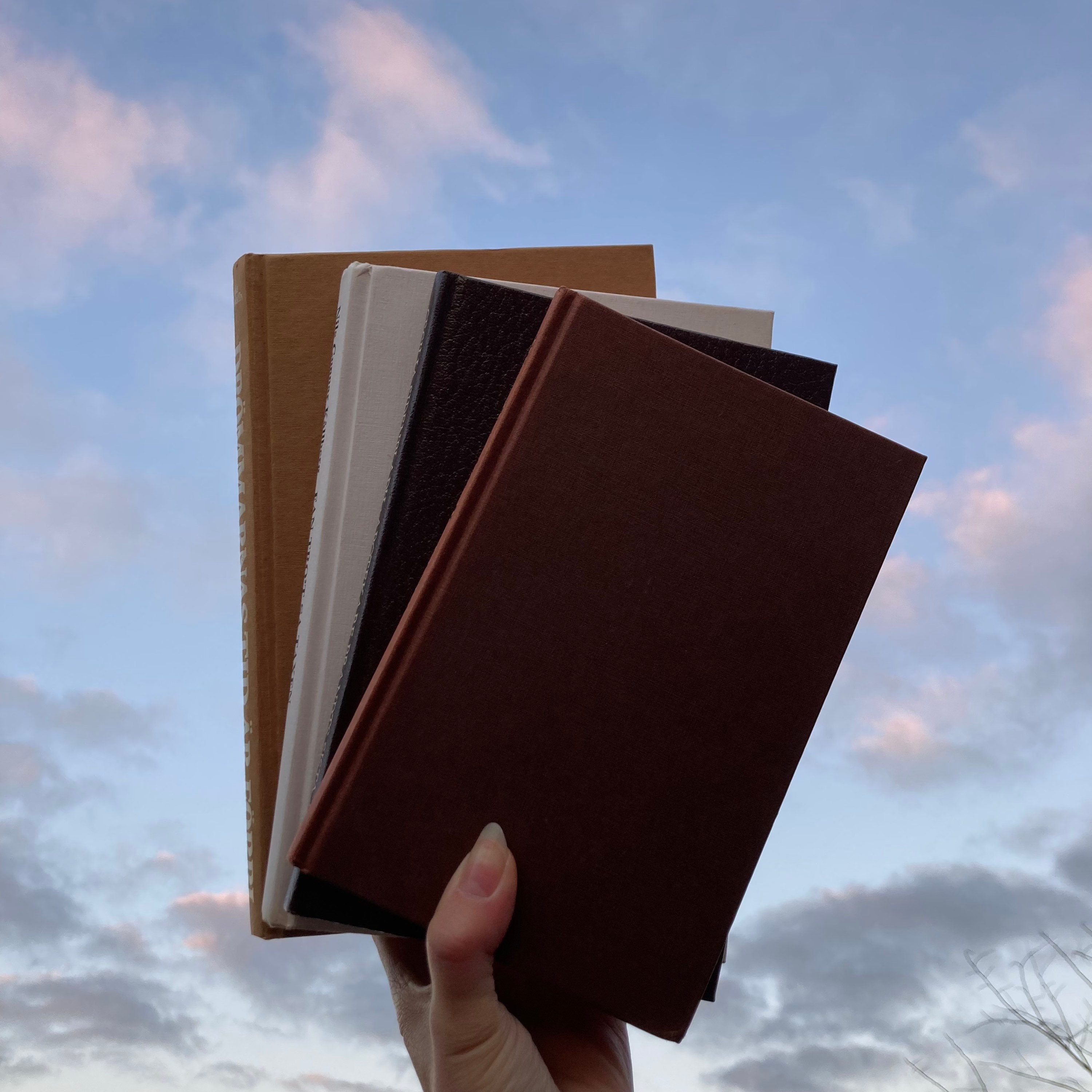 Brown Book Stack | Swedish Decorative Books | Real Hardback - Etsy