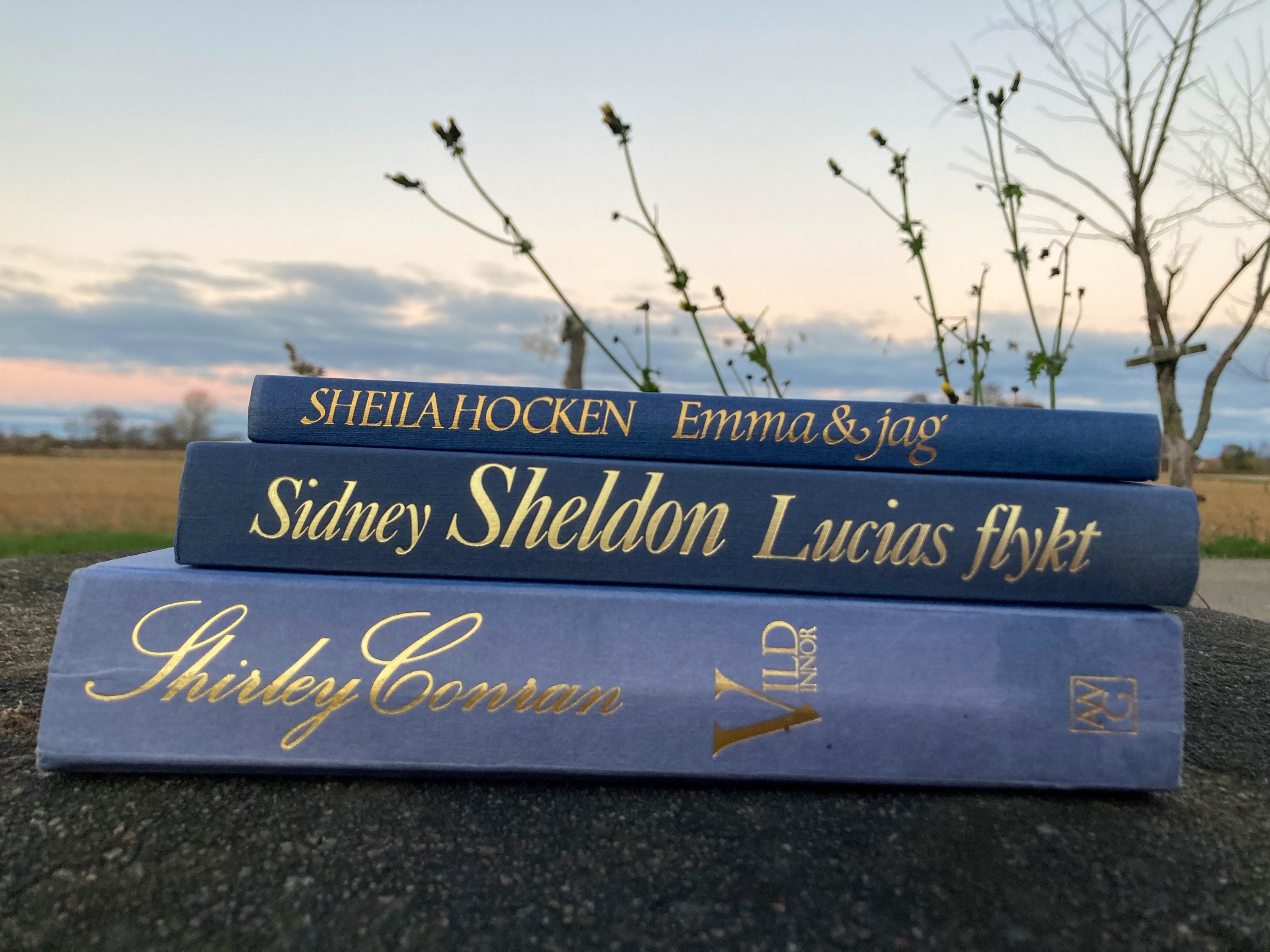 Navy Blue Book Stack Swedish Decorative Books Real - Etsy