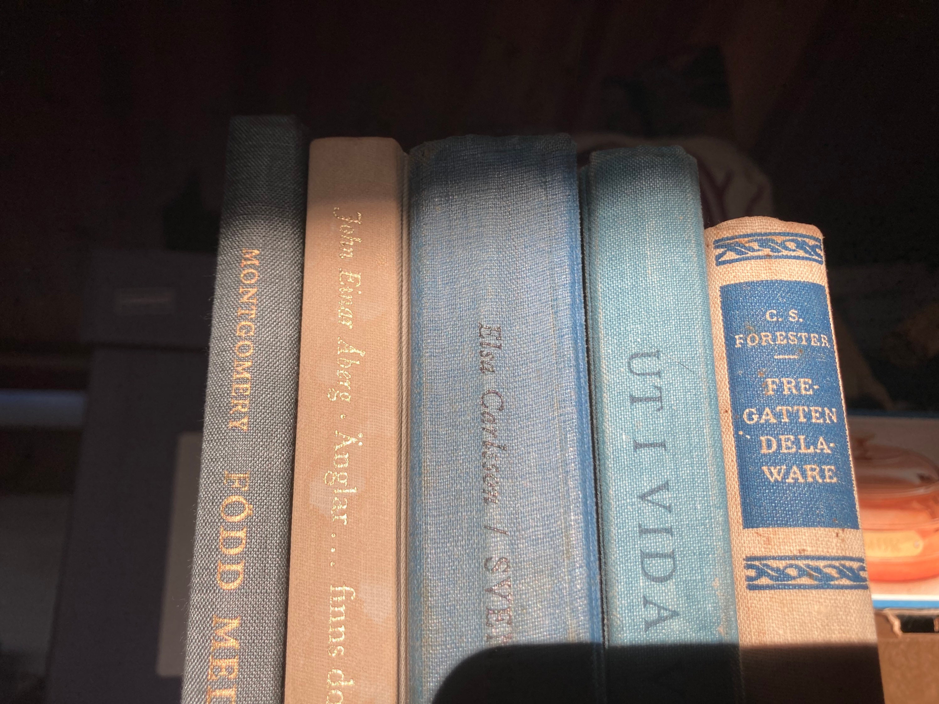 Vintage Blue/white Book Stack Swedish Decorative Books Real Hardback - Etsy