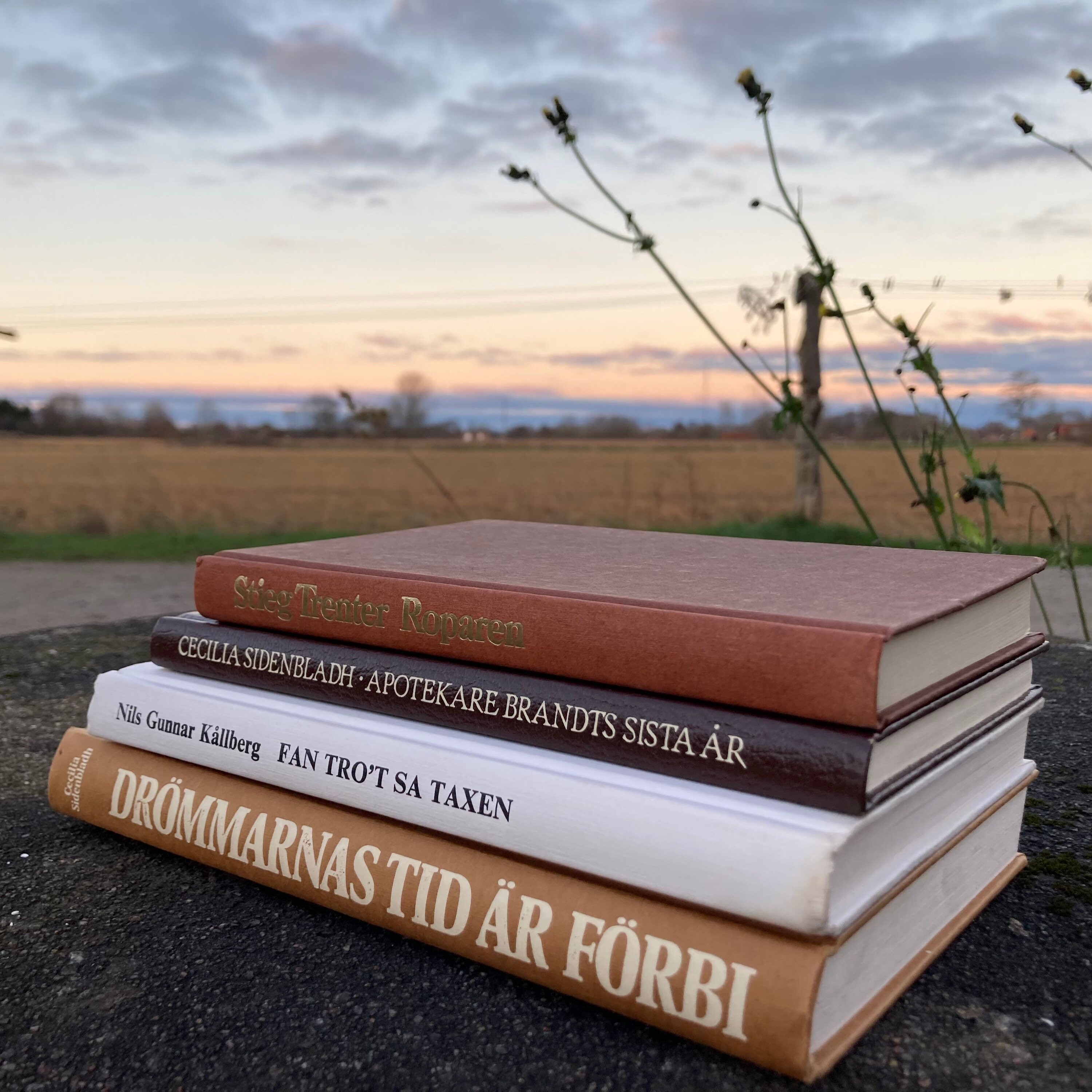 Brown Book Stack | Swedish Decorative Books | Real Hardback - Etsy