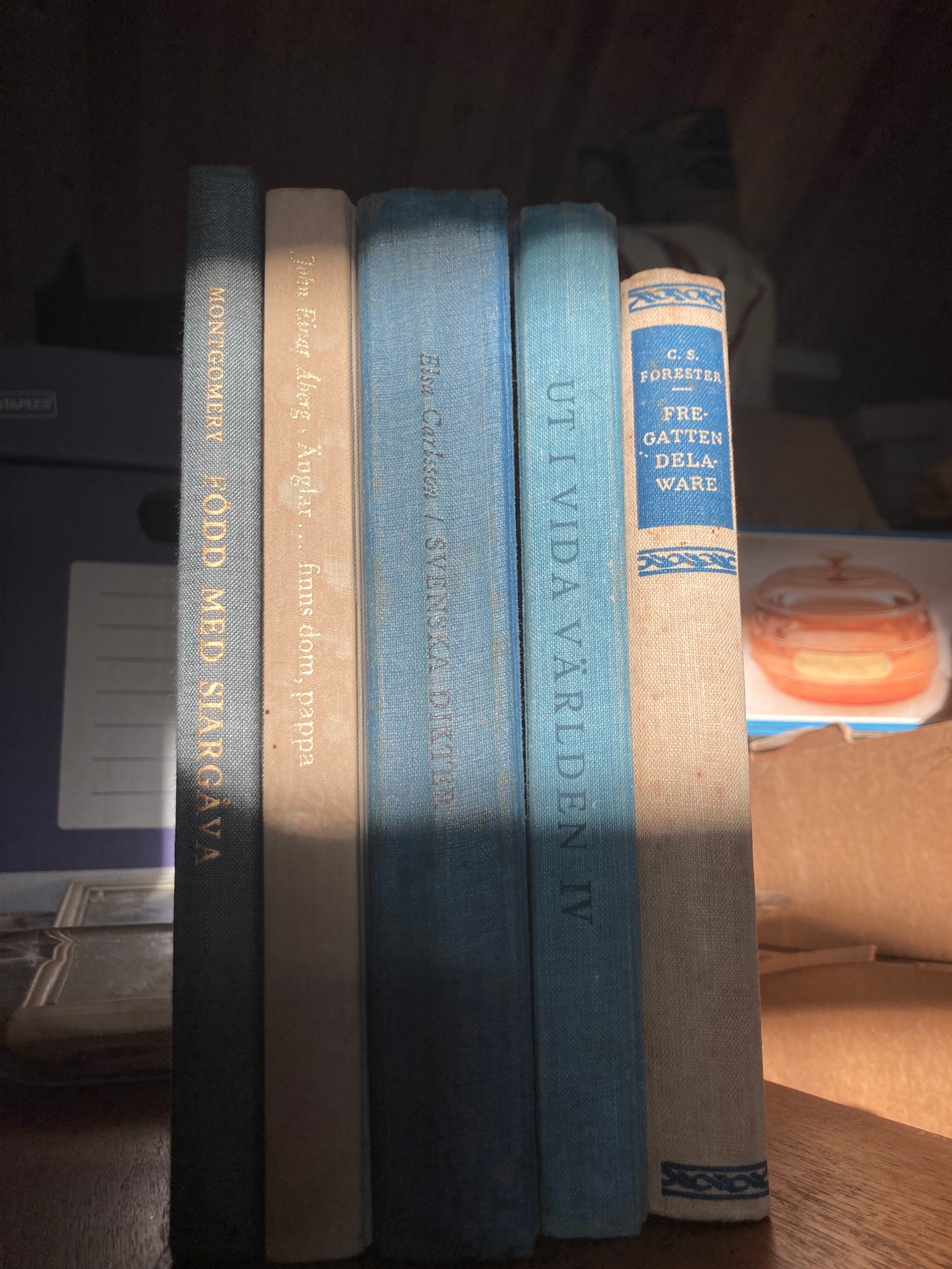 Vintage Blue/white Book Stack Swedish Decorative Books Real Hardback - Etsy