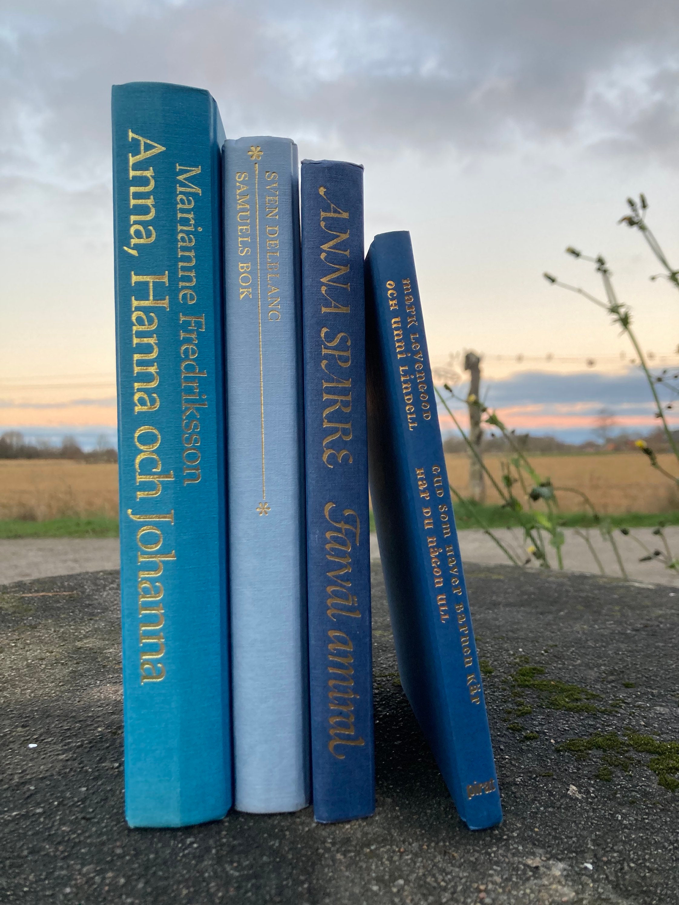 Blue Book Stack Swedish Decorative Books Real Hardback - Etsy