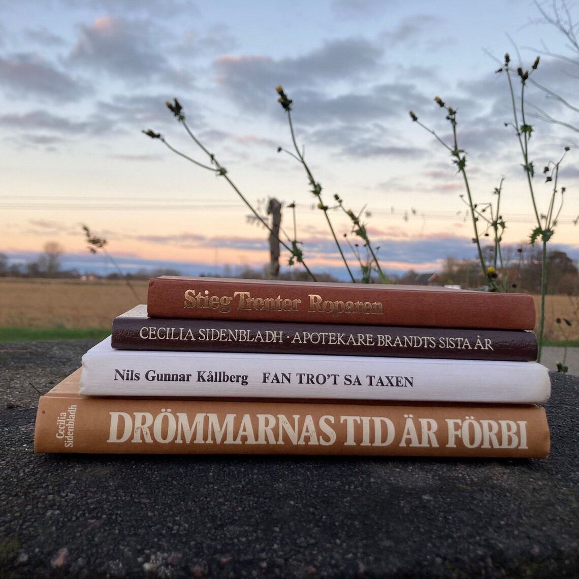 Brown Book Stack | Swedish Decorative Books | Real Hardback - Etsy