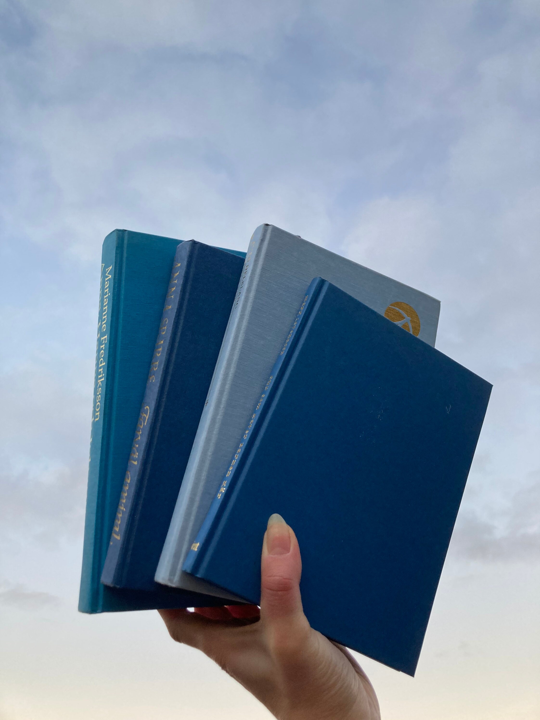Blue Book Stack Swedish Decorative Books Real Hardback - Etsy