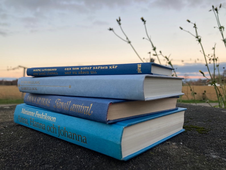 Blue Book Stack Swedish Decorative Books Real Hardback - Etsy