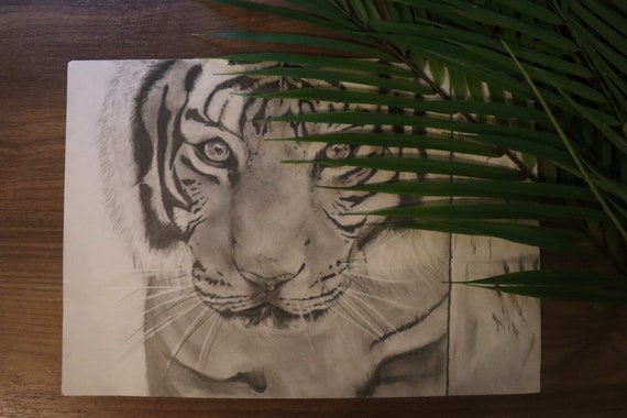 Life Of Pi Tiger Drawing