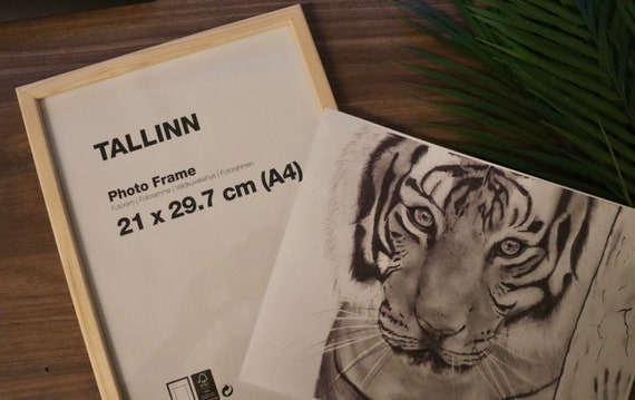 Life Of Pi Tiger Drawing