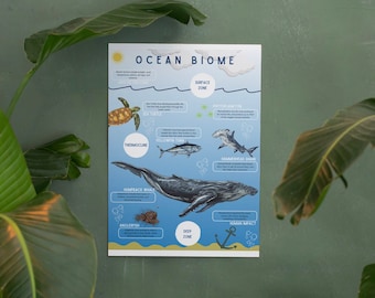 Shark Educational Poster - Etsy