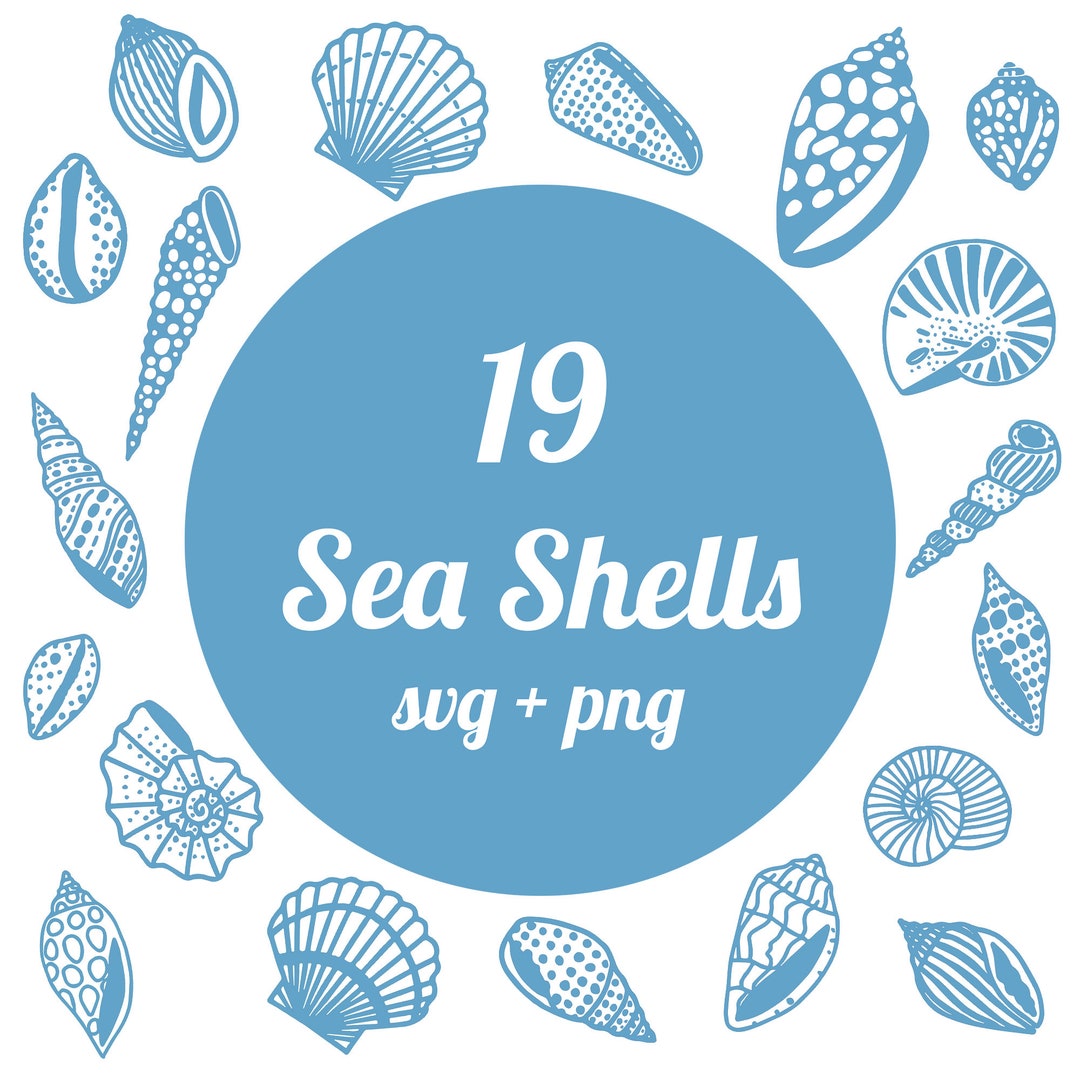 Sea Shells SVG, PNG, Digital Files, Vector Graphic, Black and White - Etsy
