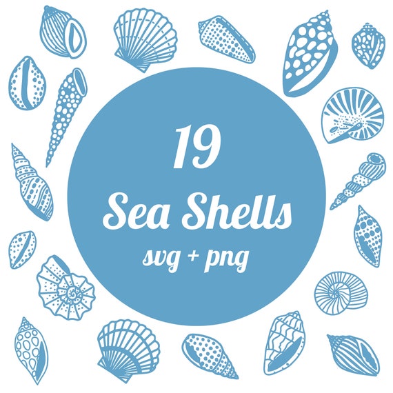 Sea Shells SVG PNG Digital Files Vector Graphic Black and - Etsy