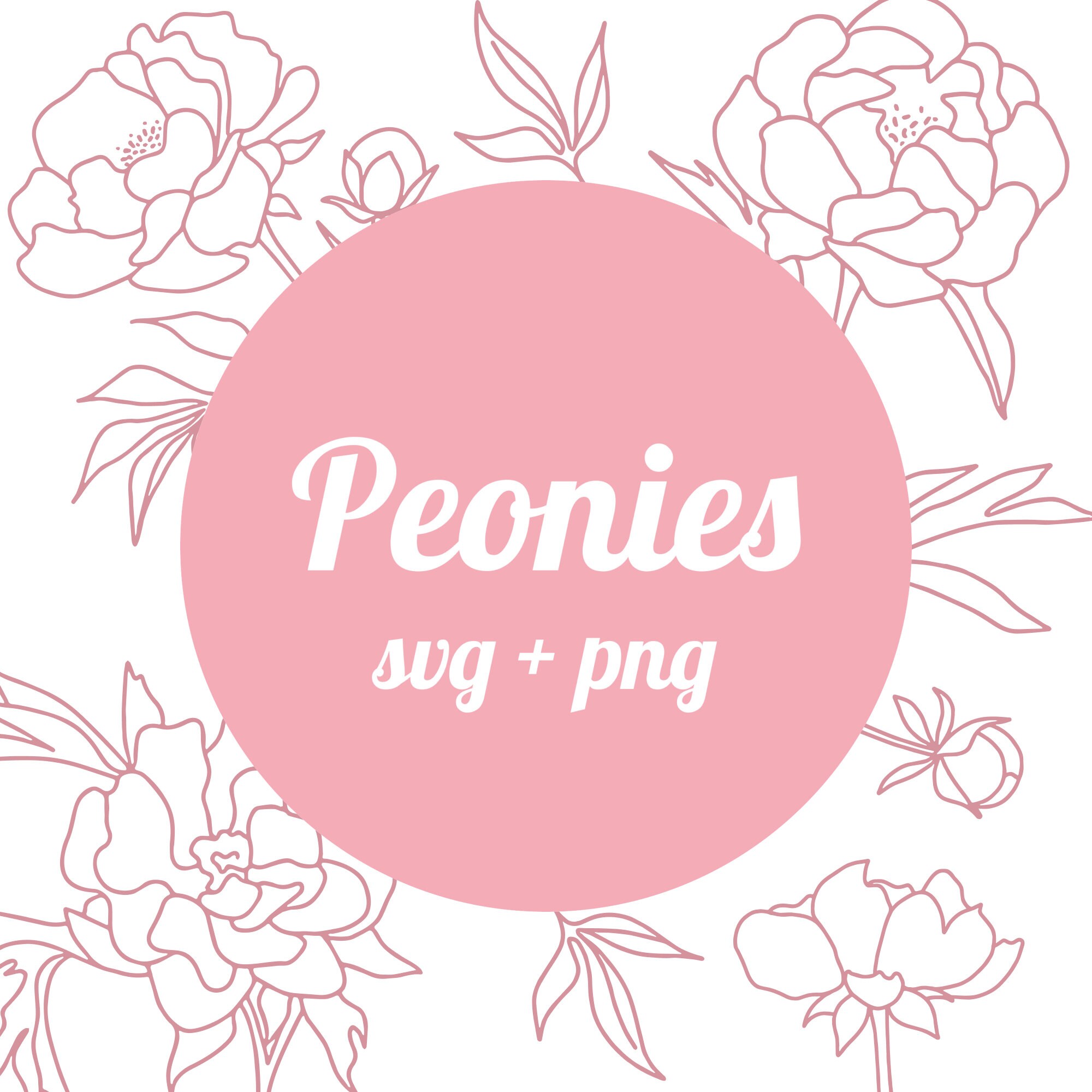 Peonies SVG + PNG, Digital Files, Vector Graphic, Black and White ...