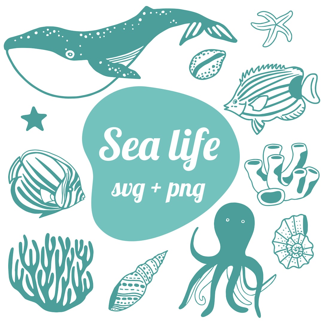 Under the Sea SVG + PNG, Digital Files, Vector Graphic, Black and White ...