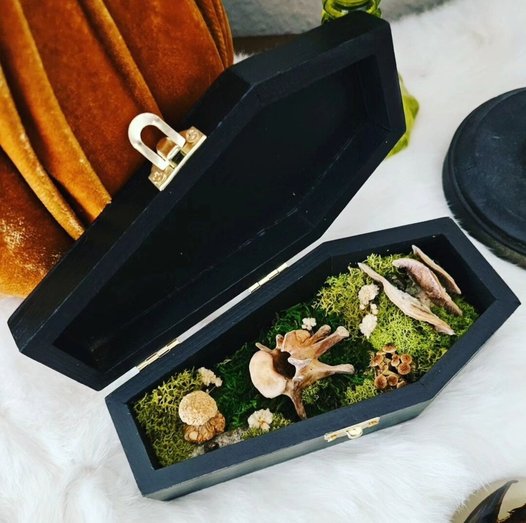 Deer Vertebrae Coffin Garden Terrarium Box - Etsy