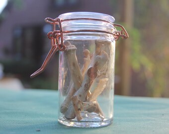 Assorted Small Bones - Etsy