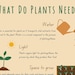 What Do Plants Need? | Kids' Educational Poster | Water, Light, Space ...