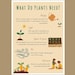 What Do Plants Need? | Kids' Educational Poster | Water, Light, Space ...