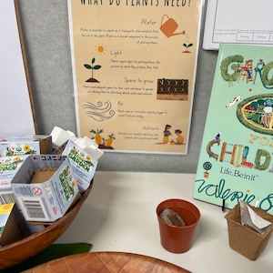 What Do Plants Need? | Kids' Educational Poster | Water, Light, Space ...