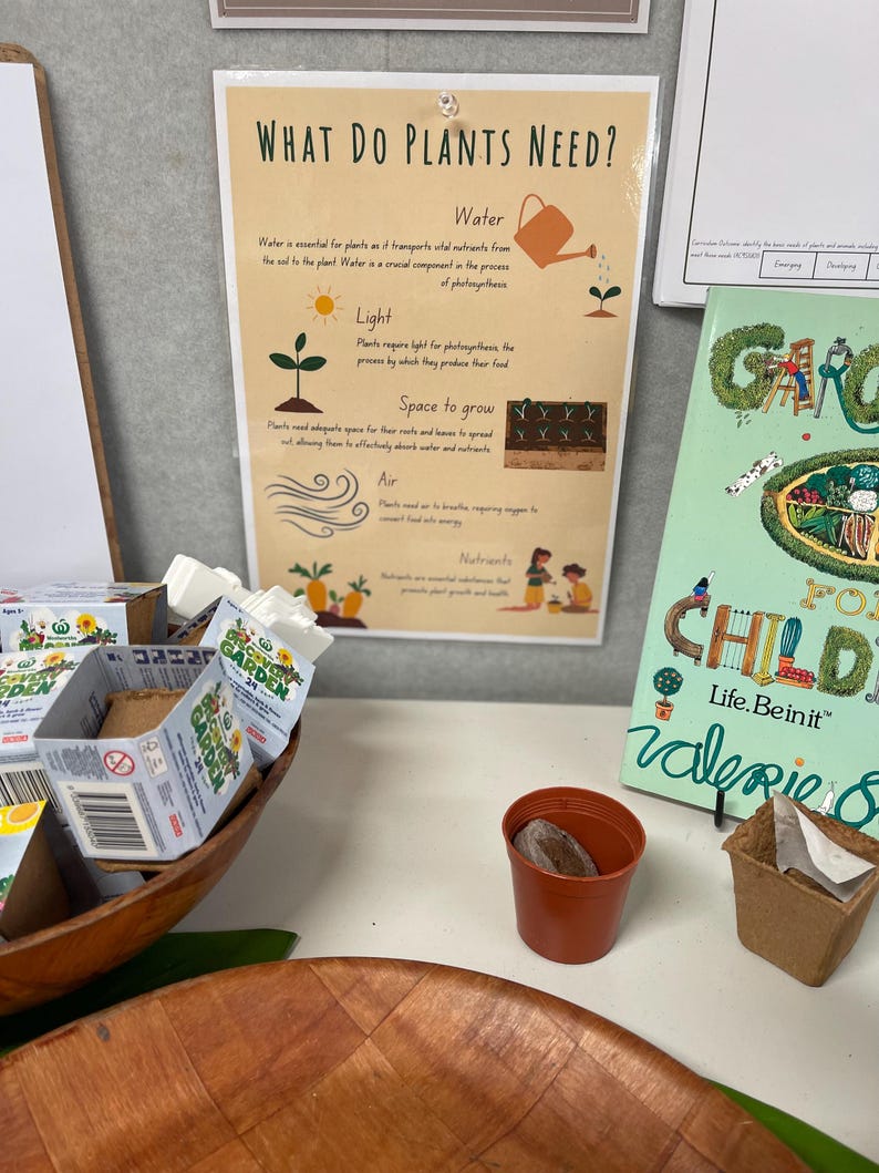 What Do Plants Need? | Kids' Educational Poster | Water, Light, Space ...