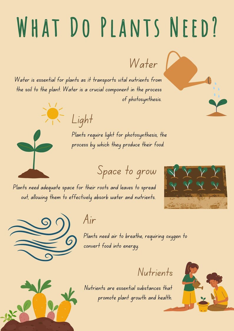 What Do Plants Need? | Kids' Educational Poster | Water, Light, Space ...