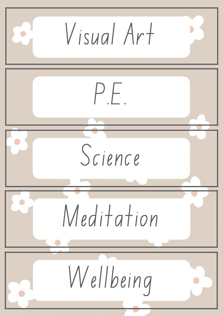 Editable Classroom Timetable Flower Theme - Etsy