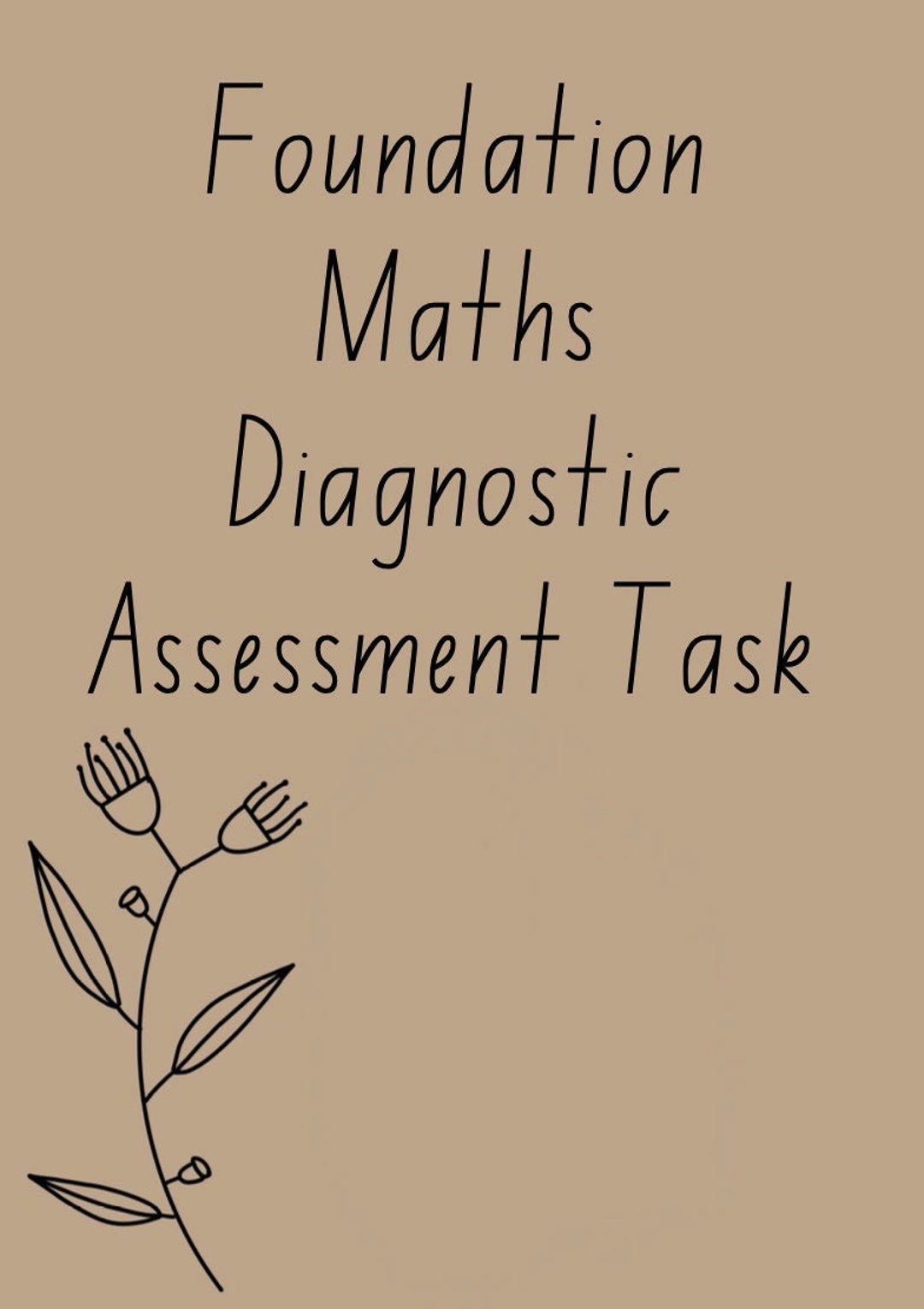 Foundation/prep Maths Diagnostic Assessment Task - Etsy