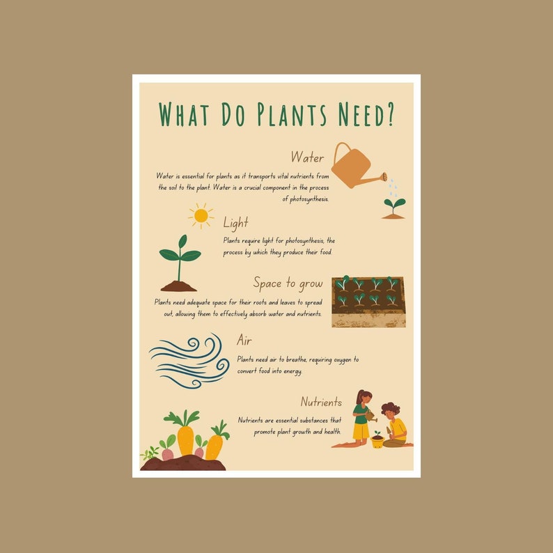 What Do Plants Need Kids' Educational Poster Water, Light, Space, Air ...