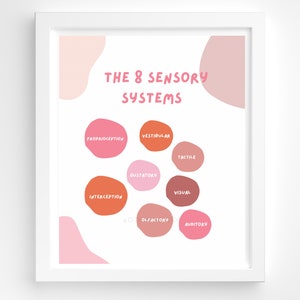 Occupational Therapy, the 8 Sensory Systems - Etsy