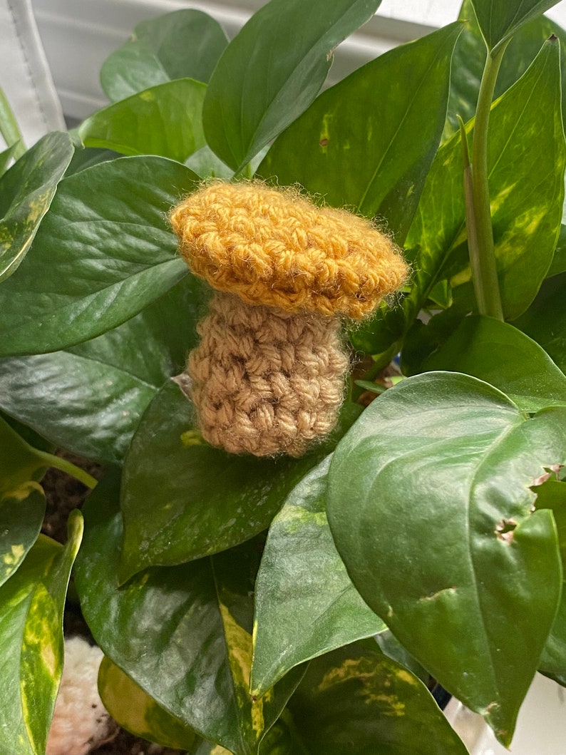 Mini Mushroom Crochet Pattern - Etsy