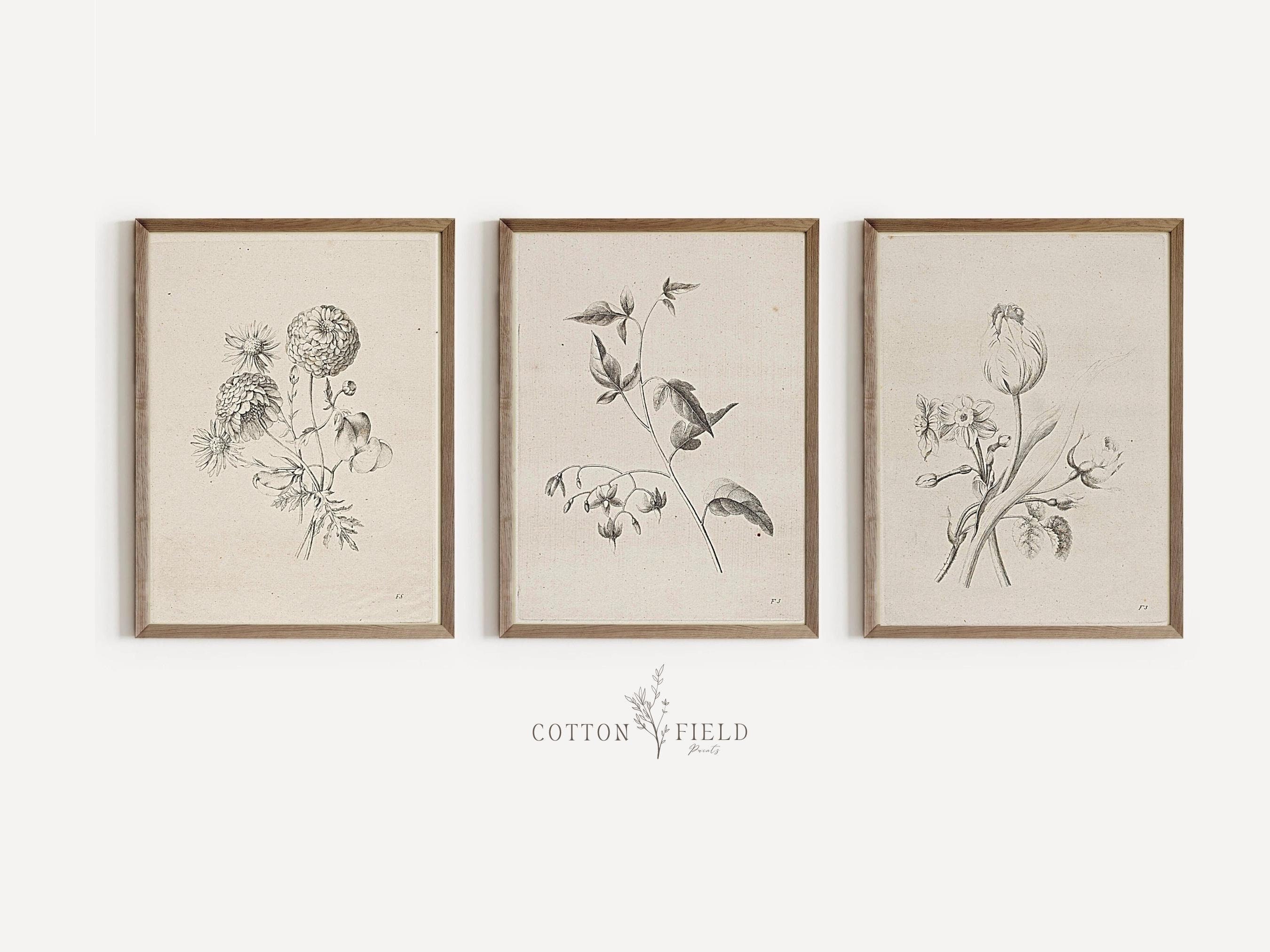 Vintage Floral Print Set of 3 Printable Botanical Print Set Farmhouse ...