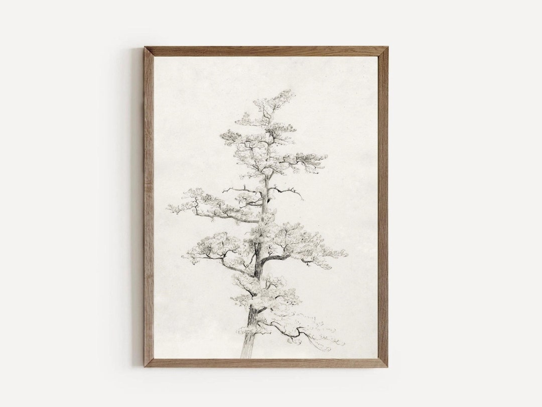 Pine Tree Sketch | Vintage Botanical Print | Boho Floral Print ...