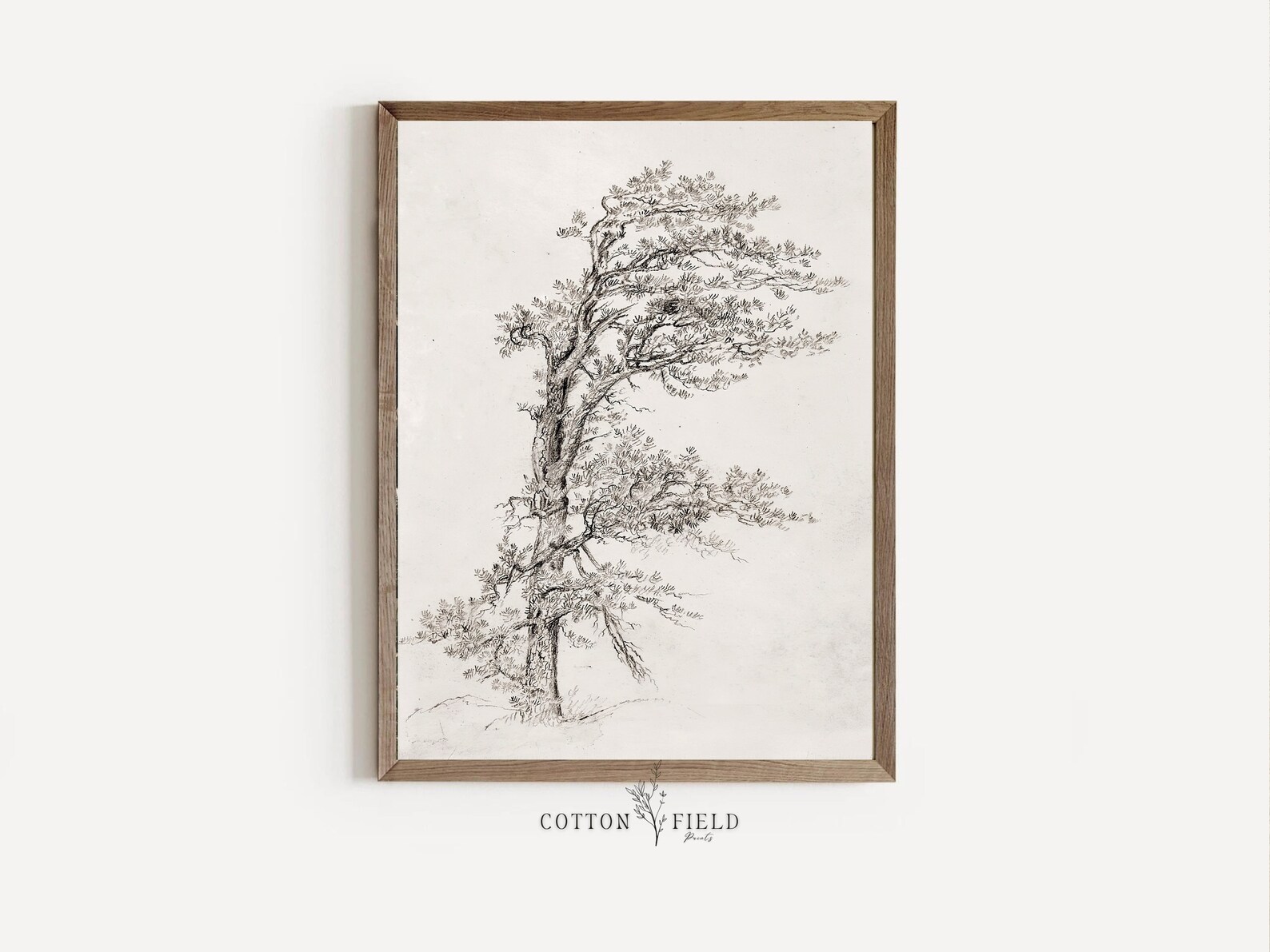 Tree Sketch Tree Drawing Print Fall Tree Print Fall Printables Vintage ...