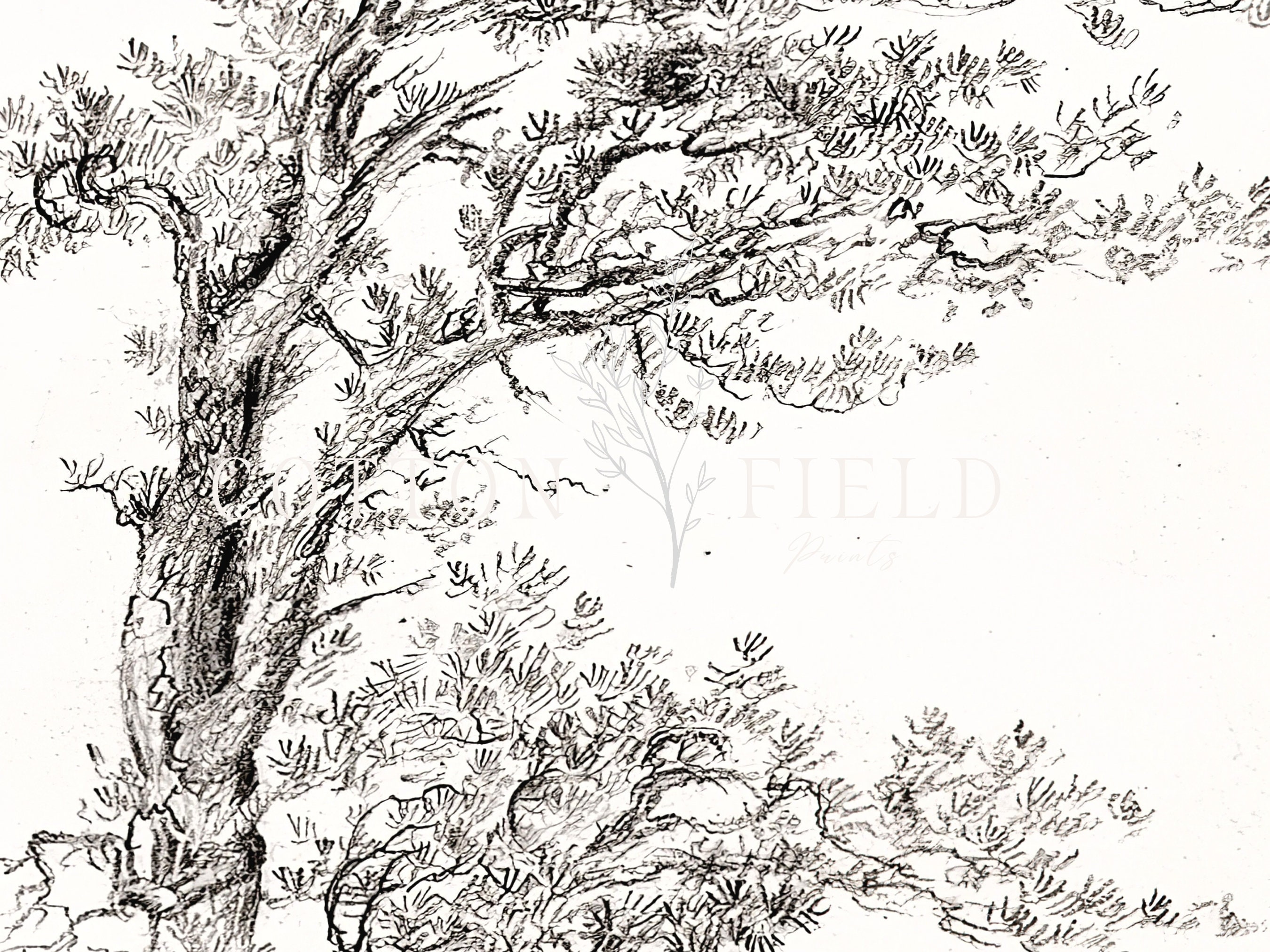 Tree Sketch Tree Drawing Print Fall Tree Print Fall - Etsy