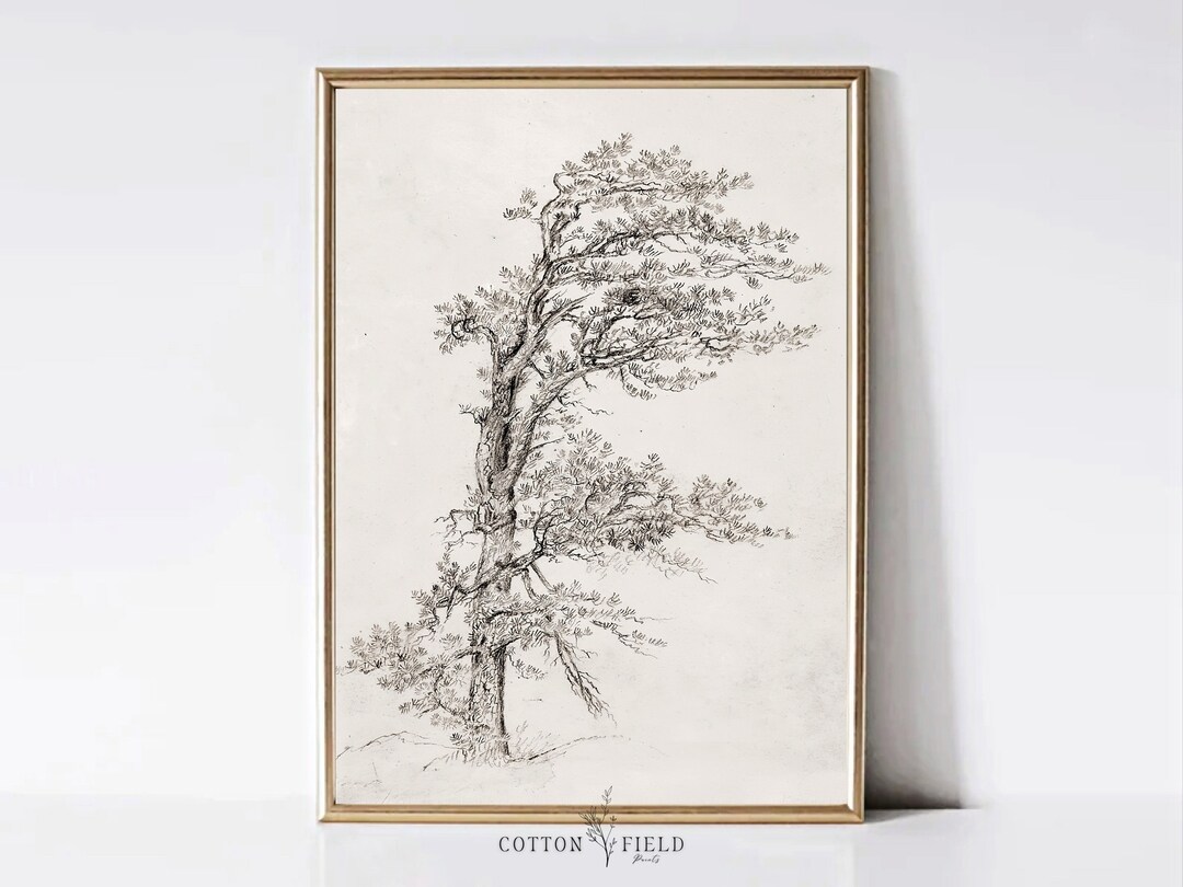 Tree Sketch | Tree Drawing Print | Fall Tree Print | Fall Printables ...