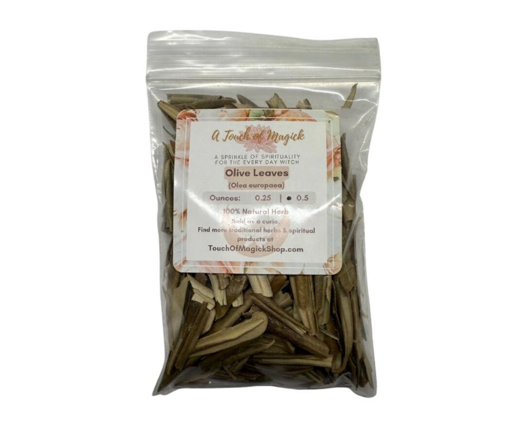 Olive Leaves | Olea Europaea | Traditionally Used for Protection, Peace ...