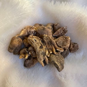 100% AUTHENTIC | Lucky Hand Root | Sahlep Root | Orchis Mascula | RARE ...