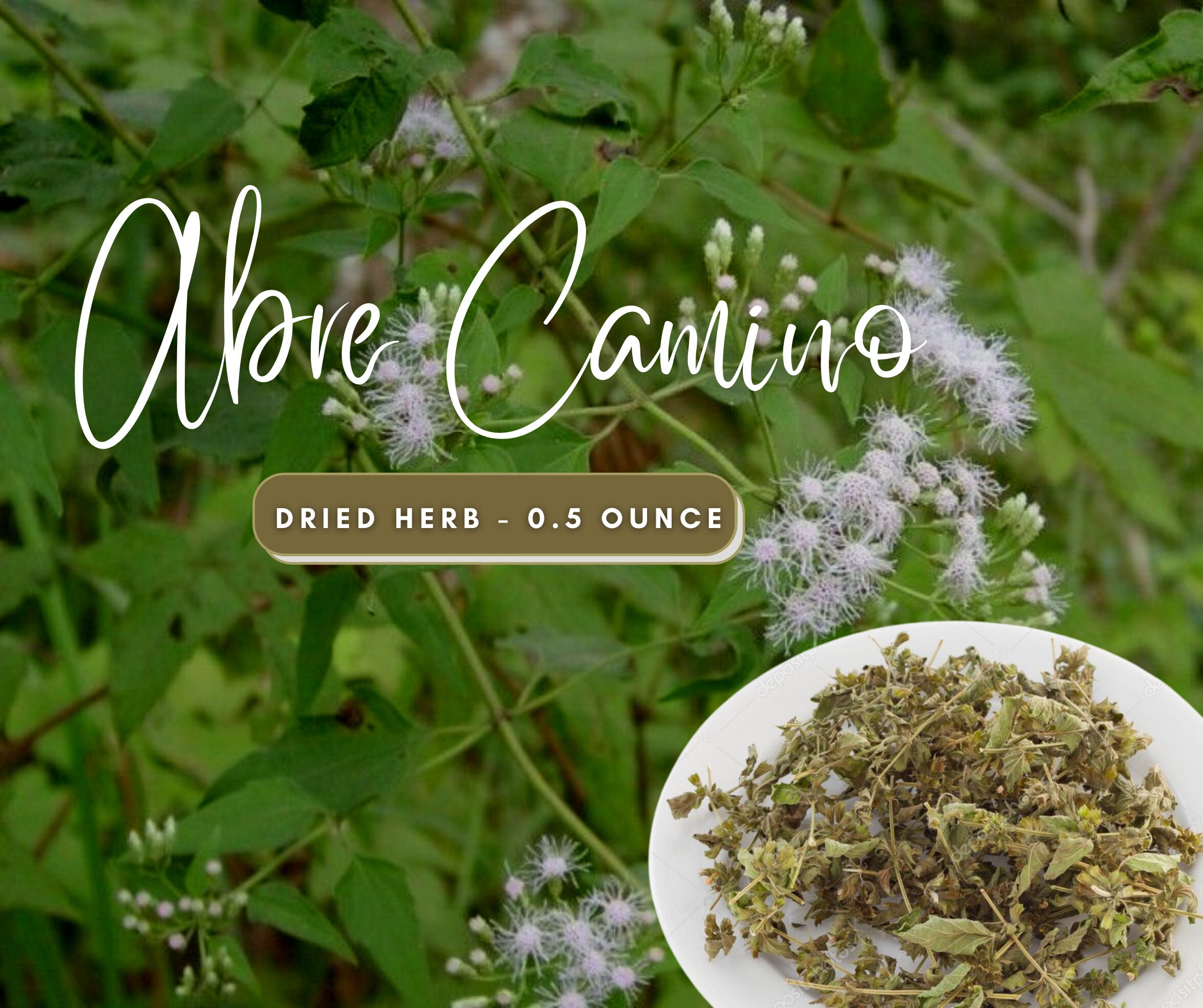 Abre Camino Road Opener Dried Herb for Prosperity and - Etsy