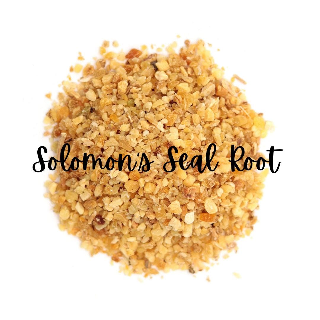 Solomon’s Seal Root | Polygonatum Odoratum | 0.5 Ounces | Used for ...