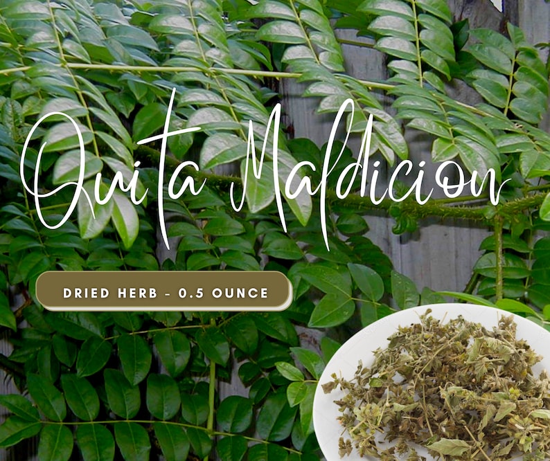 Quita Maldicion / Curse Remover Grey Knickers Plant - Etsy