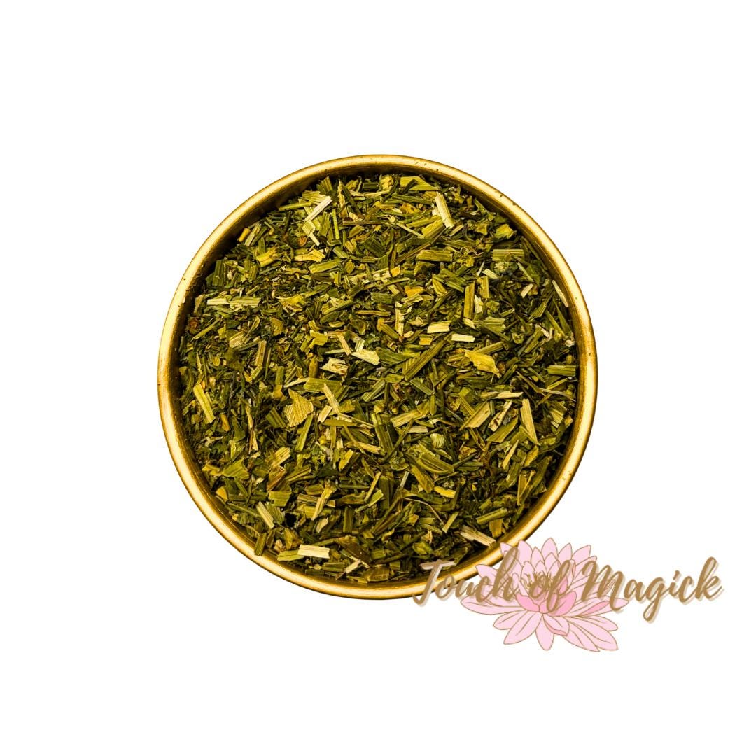 Violet Leaf | Viola | Traditionally Used for Love, Protection ...