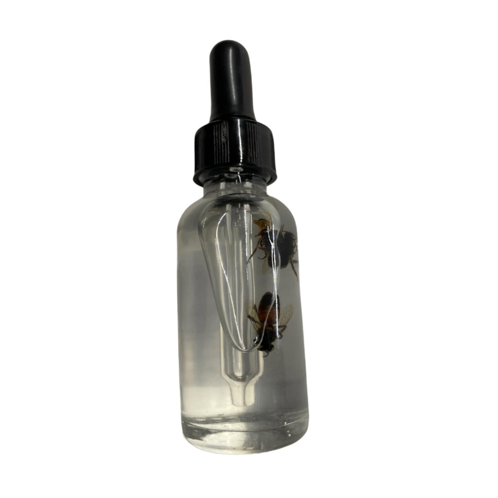 Bee Venom Oil | Contains 1 Ounce | Made With Natural & Authentic ...
