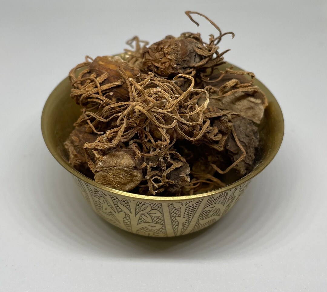 Beth Root | Trillium Pendulum | 0.5 Ounces | Used for Protection ...