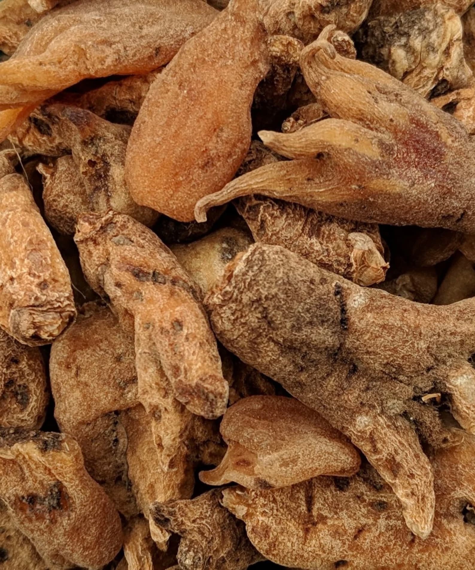 100% AUTHENTIC Lucky Hand Root Sahlep Root Orchis - Etsy