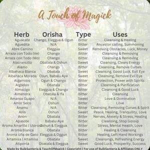 Escoba Amarga / Santa Maria Feverfew Plant Dried Herb Cut - Powerful ...