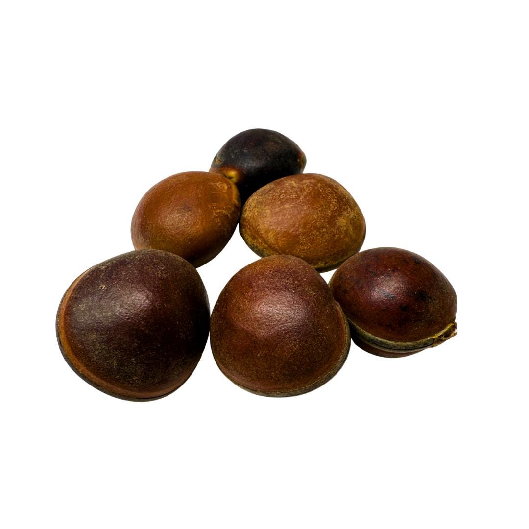 Ox Eye | Ojo De Buey | Select Quantity | Traditional Herb Supplier ...